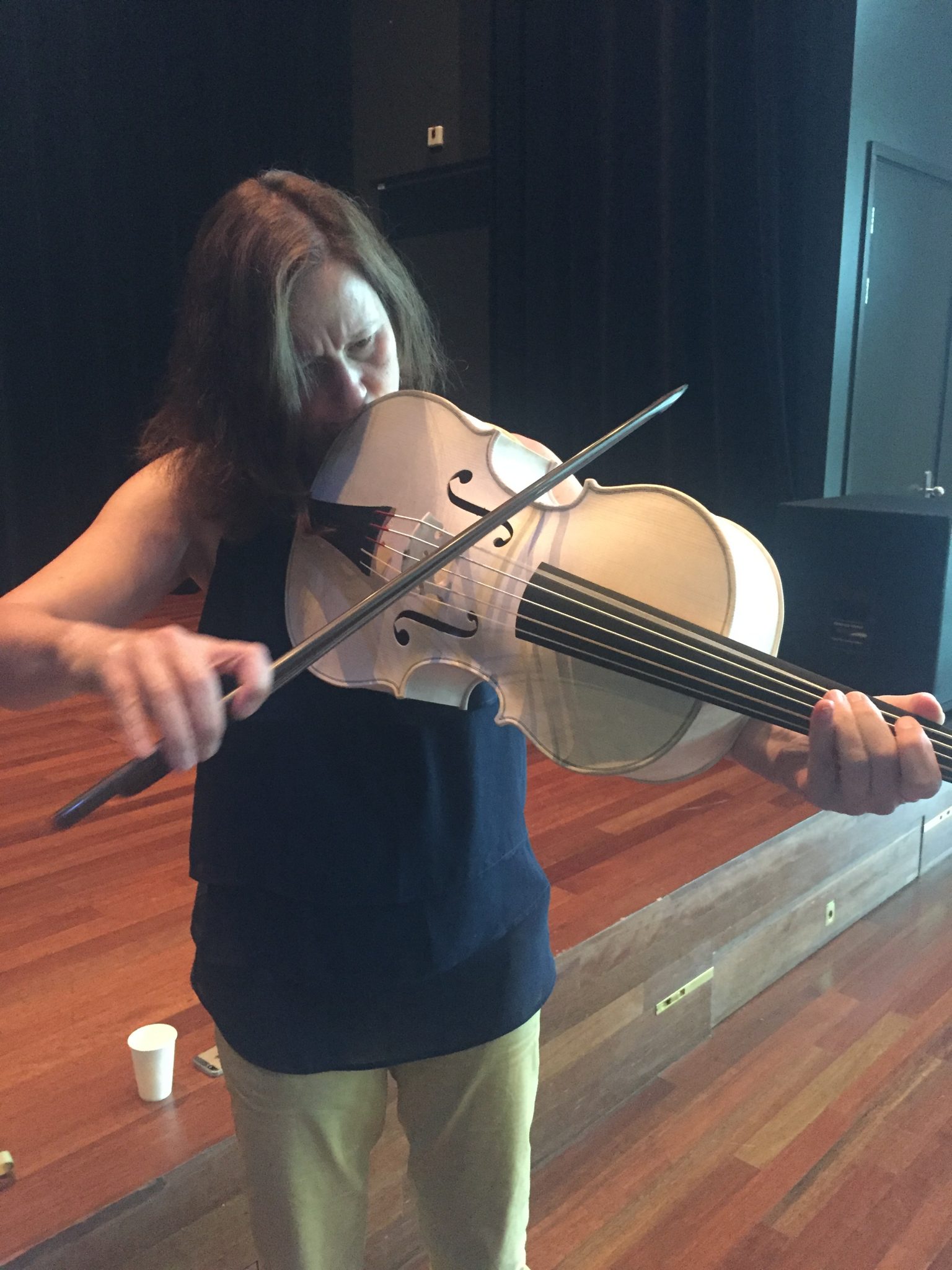 visintini gaidano violoncello da spalla liuitai italiani home - Da Spalla